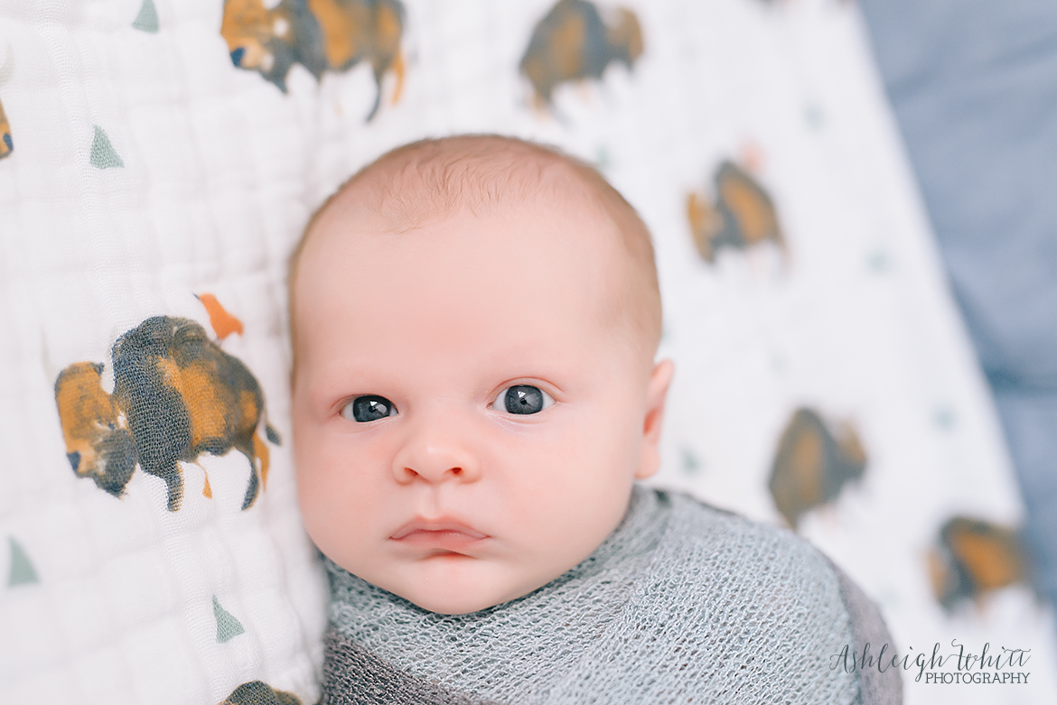 Baby Benjamin at Home - Cleveland Ohio Lifestyle Newborn Photographer ...